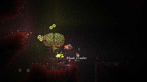 Terraria - Nintendo 3DS | J&L Game
