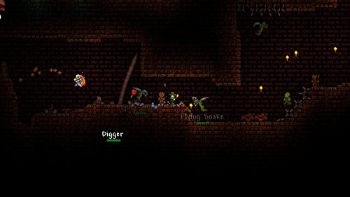 Terraria - Nintendo 3DS | J&L Game