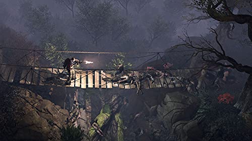 The Last Stand: Aftermath - (PS4) PlayStation 4 | J&L Game